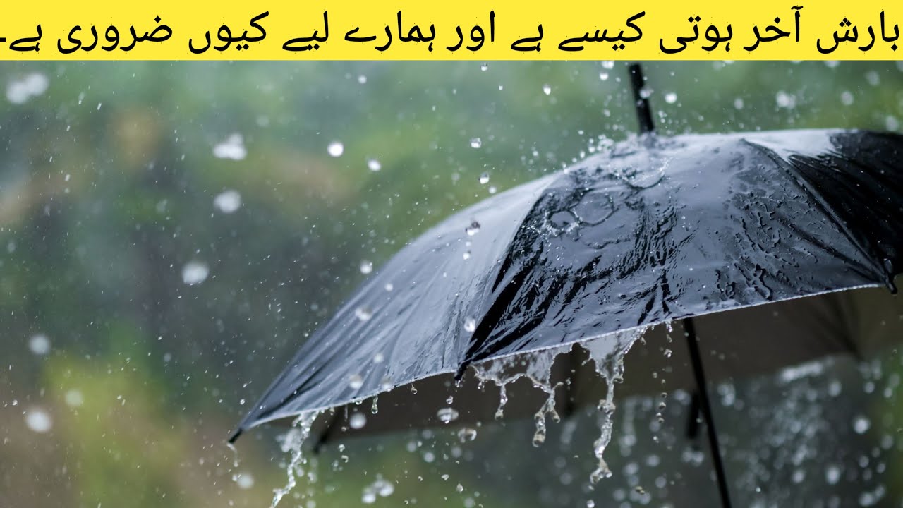 How are rain Formed ? || Science behind Rain - YouTube