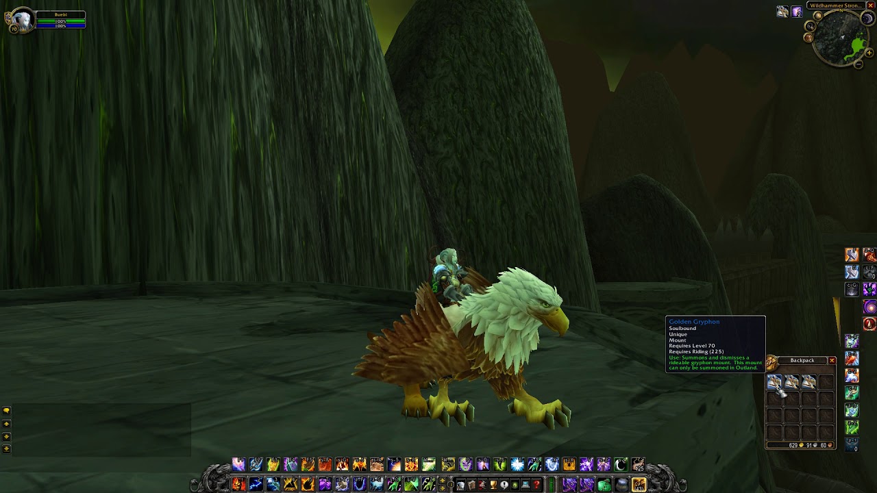 WoW TBC (Alliance) Rare Quality Gryphon Mount Color Variations - YouTube