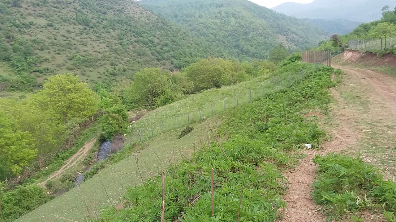 Hirkani jungle in nesfi vilage- gilun iran - YouTube