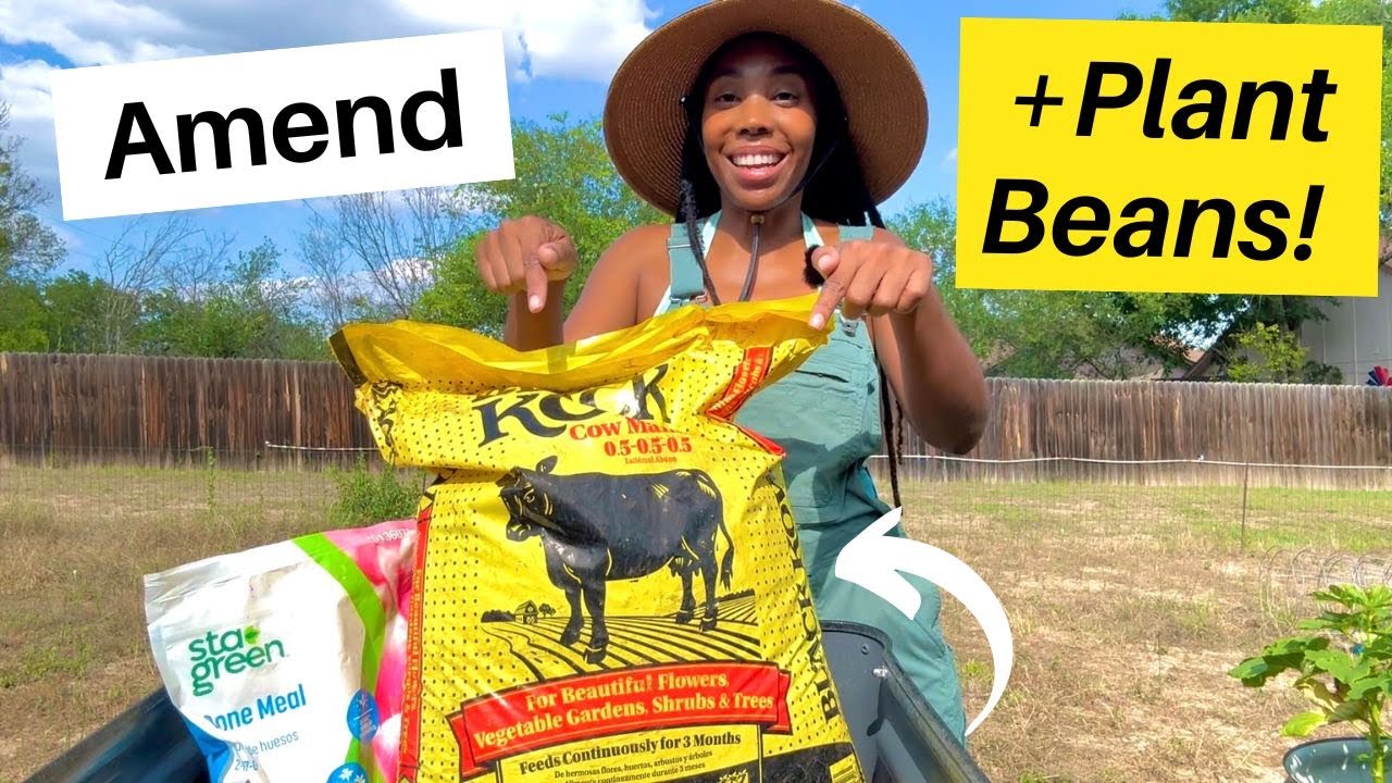 Fall Garden Beans🌿Amending Soil in Raised Beds & Planting Before It's Too Late!🙌🏾 - YouTube
