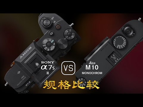 Sony A7S III 与 Leica M10 Monochrom 的规格比较 - YouTube