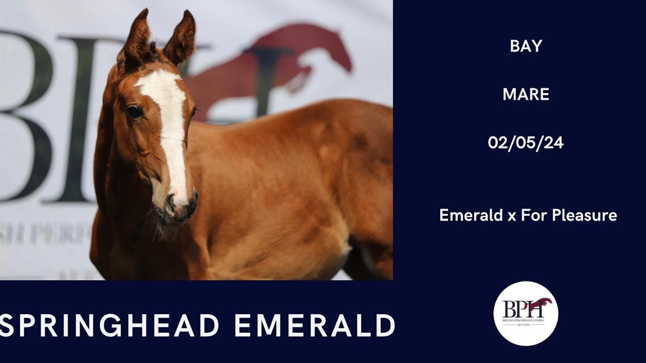 Springhead Emerald ~ Emerald x For Pleasure (hard) - YouTube