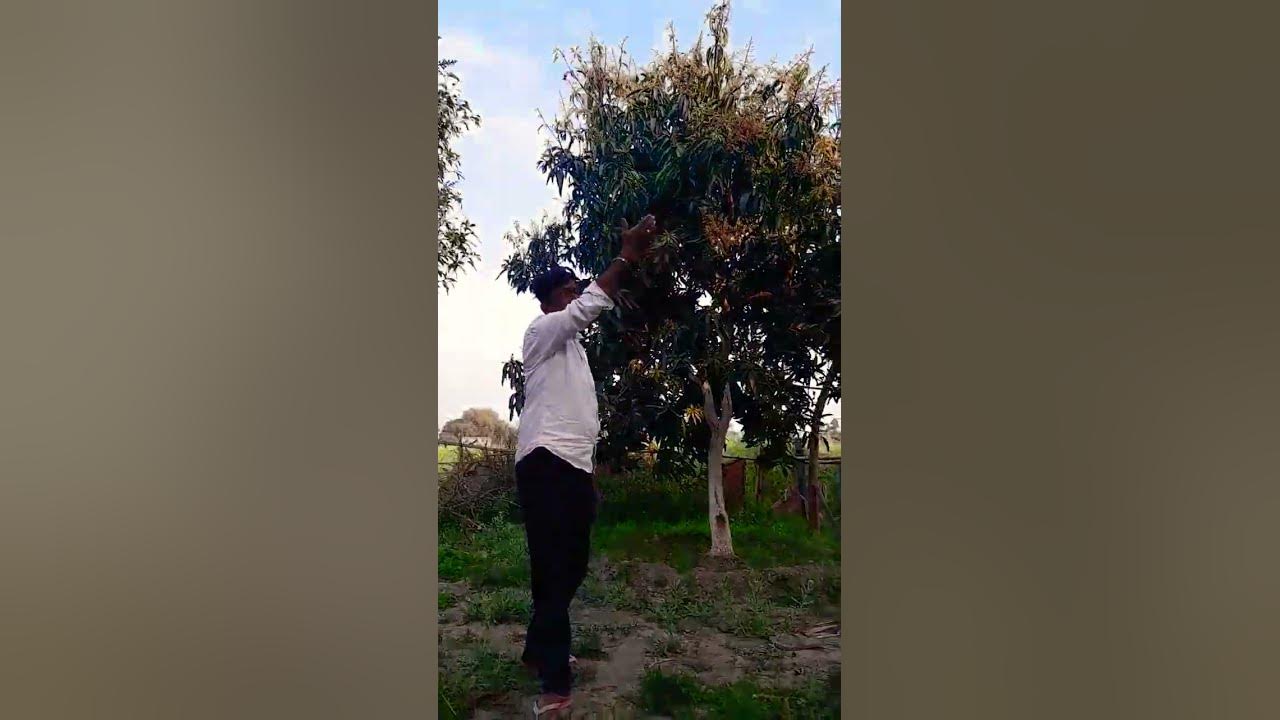 Mere bole o mere bole ll short video ll my garden 😀 ll - YouTube