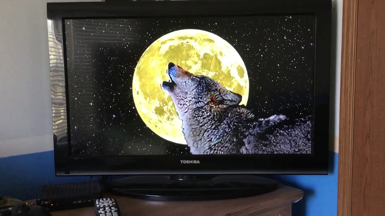 Timberwolf Productions (2008-2009) - YouTube