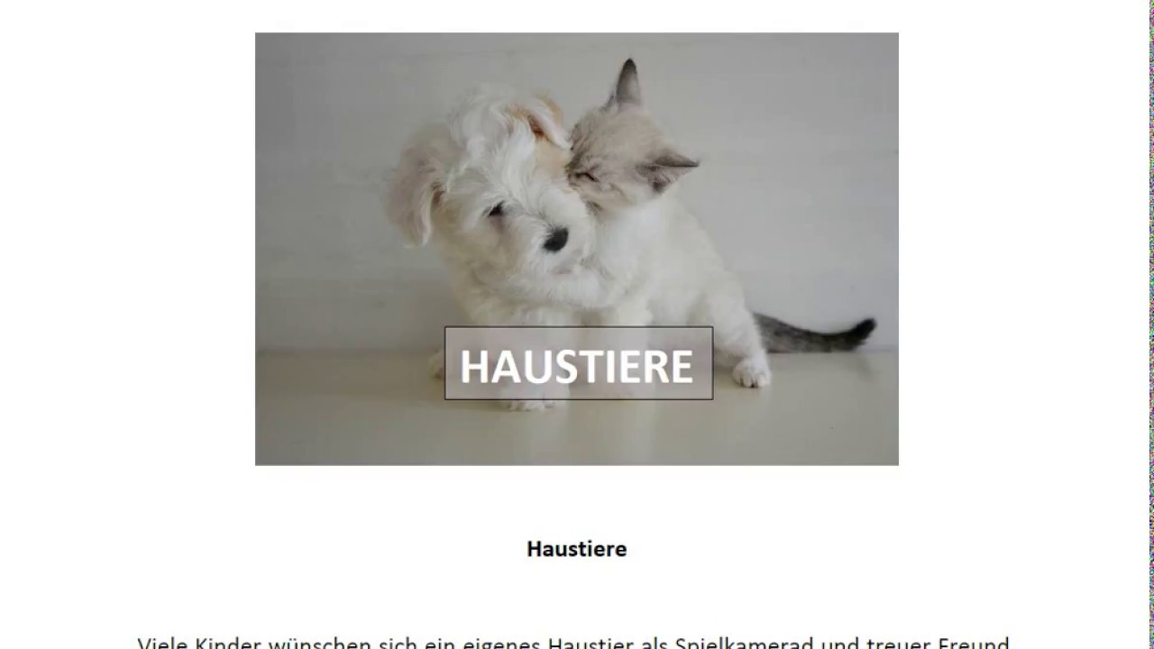 Deutsch lernen - Deutsch sprechen # Haustiere - Learn German - Speak ...