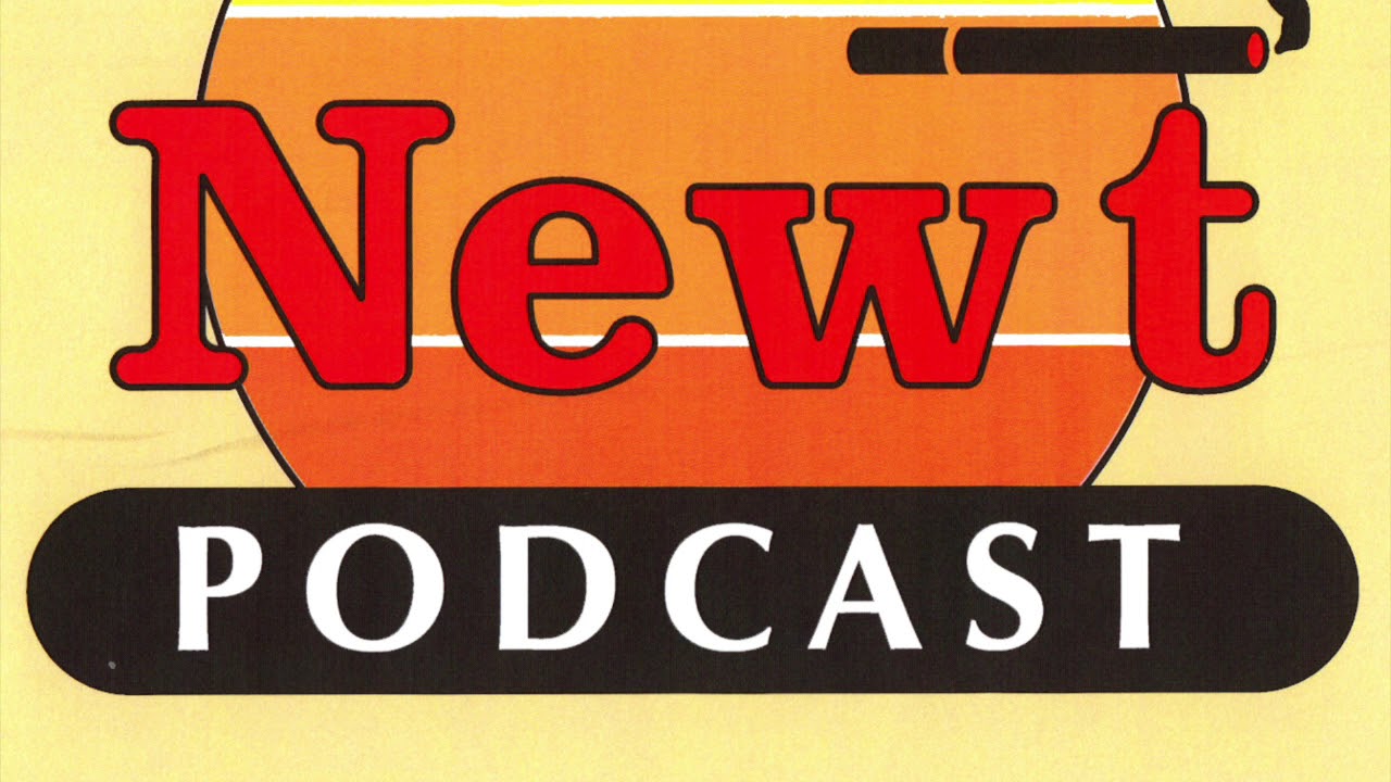 newt podcast - DJ Mighty Mi Interview - YouTube