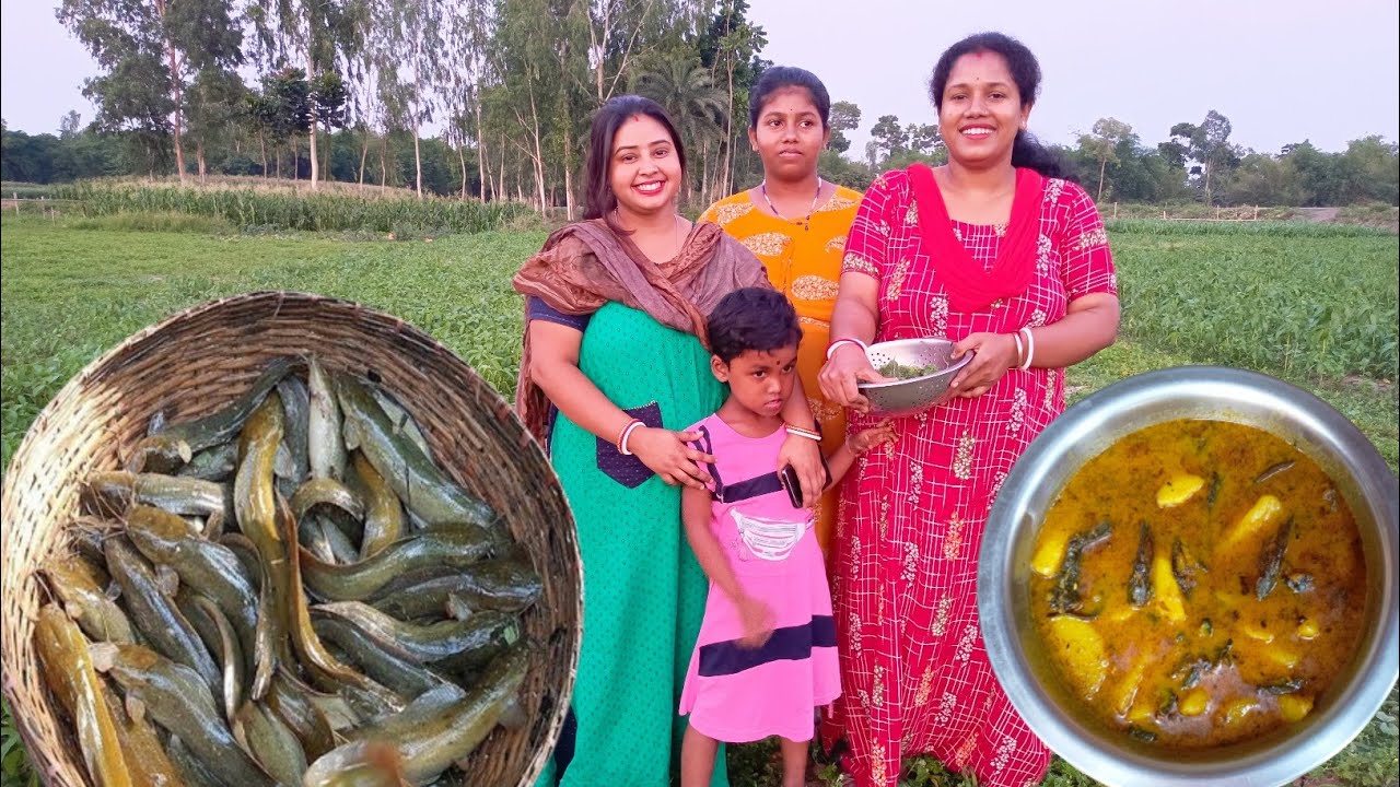 প্রচুর পাকা জিওল মাছ পুকুর থেকে ধরে রান্না করলাম।Jiol Fish Recipe|Singi ...