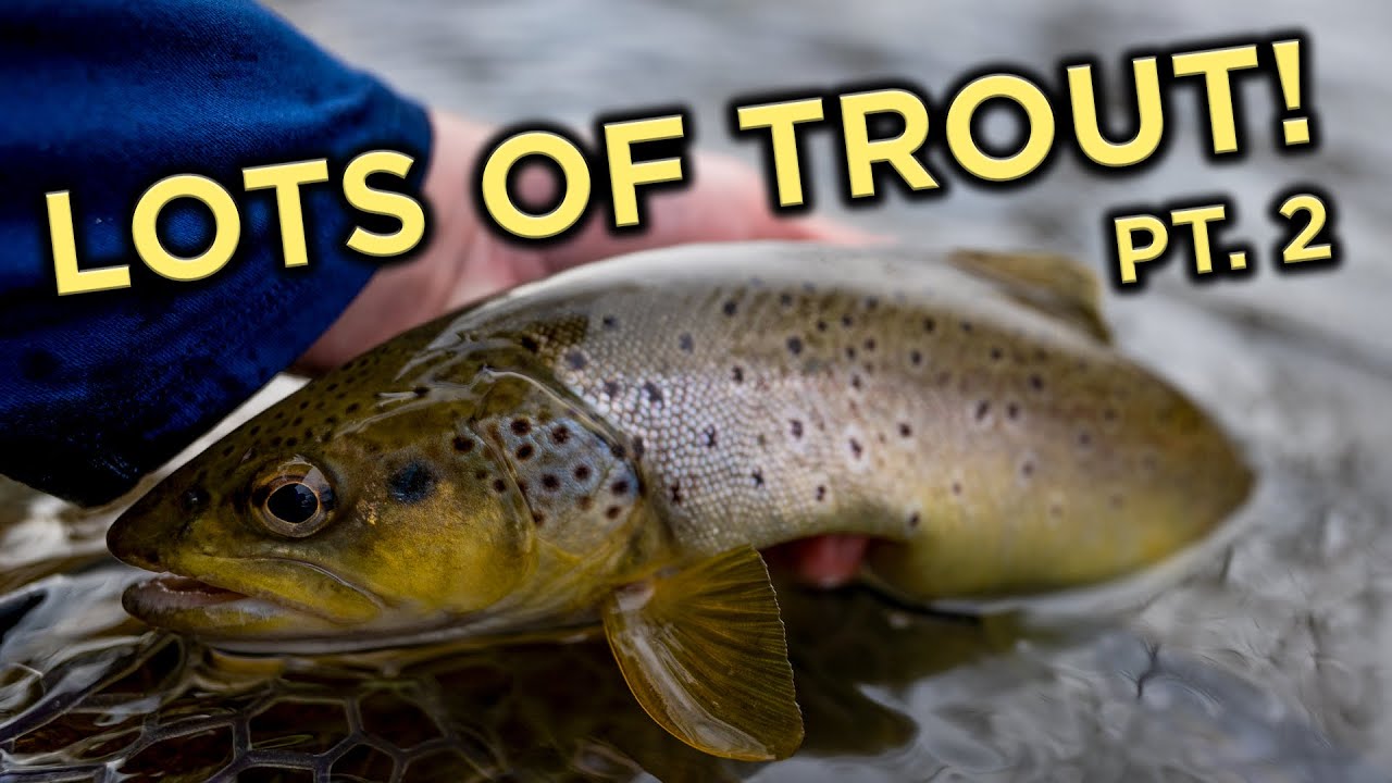 AWESOME SPRING NYMPHING!! Part 2 | Euro Nymphing for Trout - YouTube