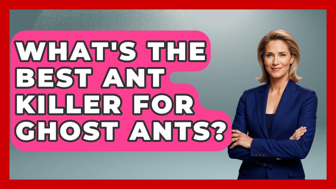 What's The Best Ant Killer For Ghost Ants? - Insects and Invaders - YouTube