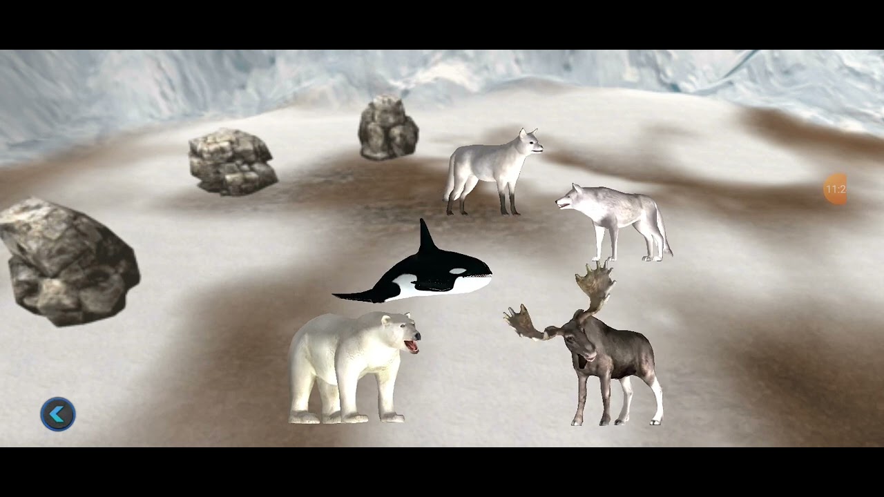 Playing Sea Lion simulator - YouTube