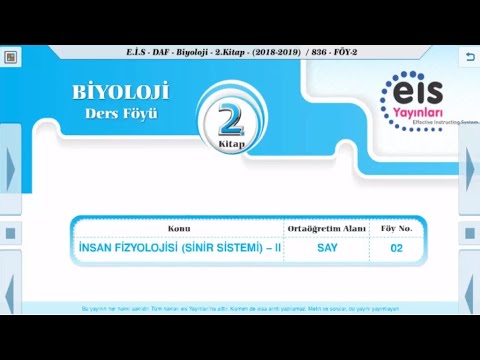 Biyoloji 2   - Sinir Sistemi 2 🧫