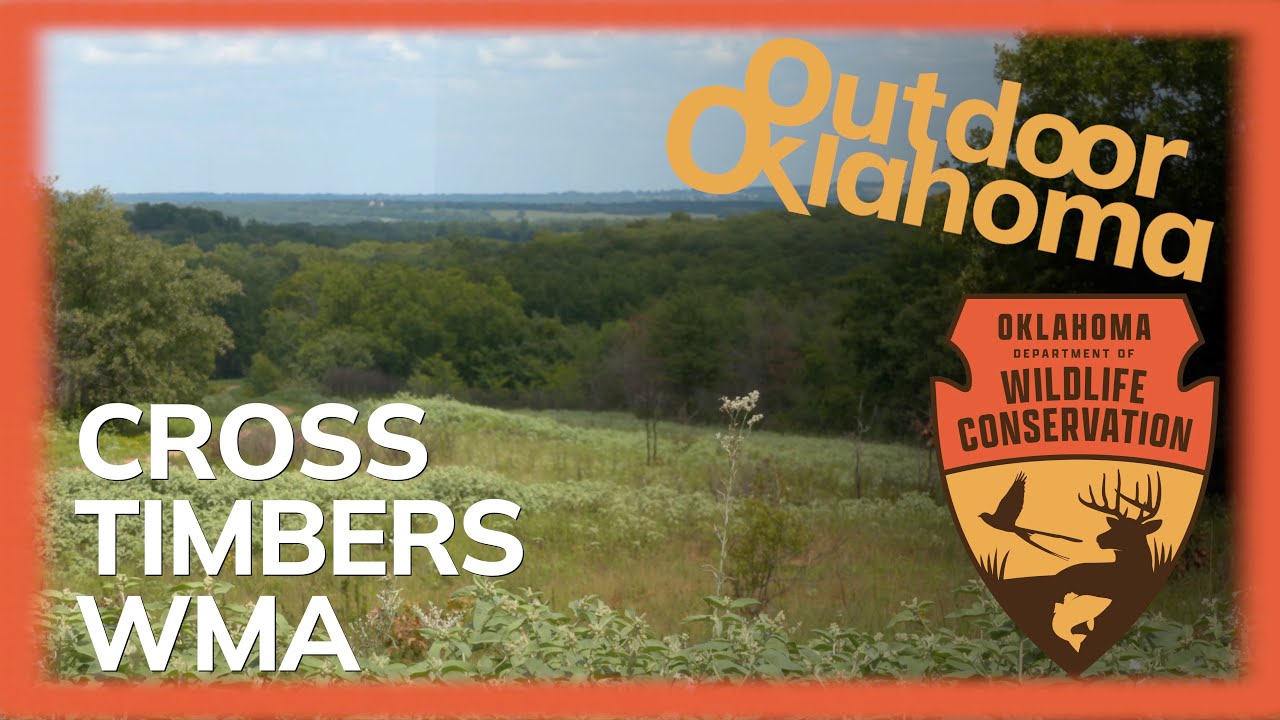 Cross Timbers WMA - YouTube