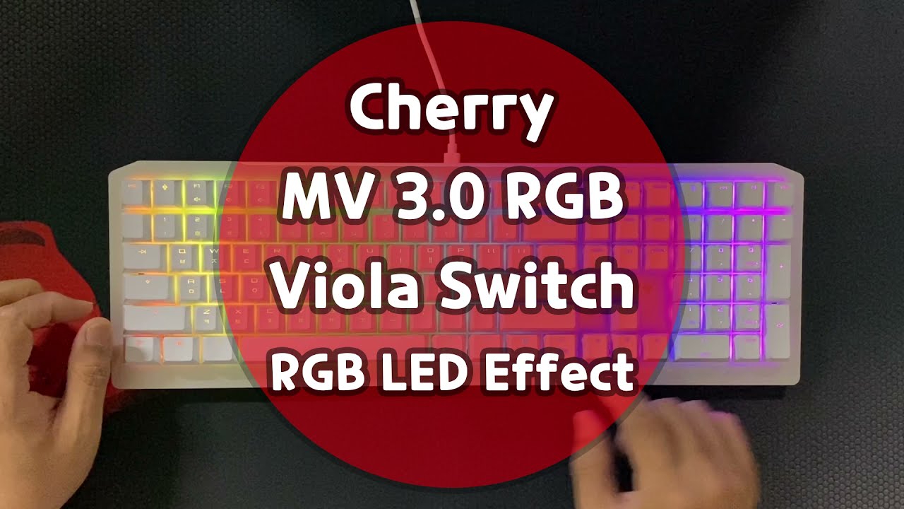Cherry MV 3.0 RGB Viola Switch - RGB LED Effect - YouTube