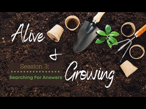 Alive & Growing Session 3 - Searching For Answers - YouTube