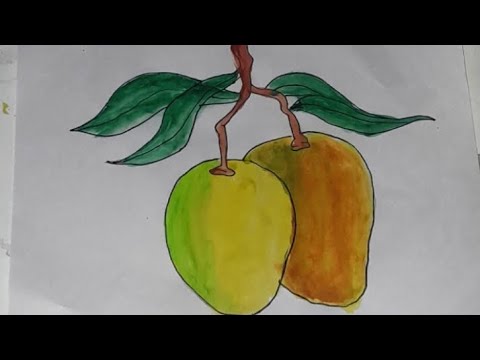 mango 🥭 ki drawing draw a mango simple drawing water color drawing ...