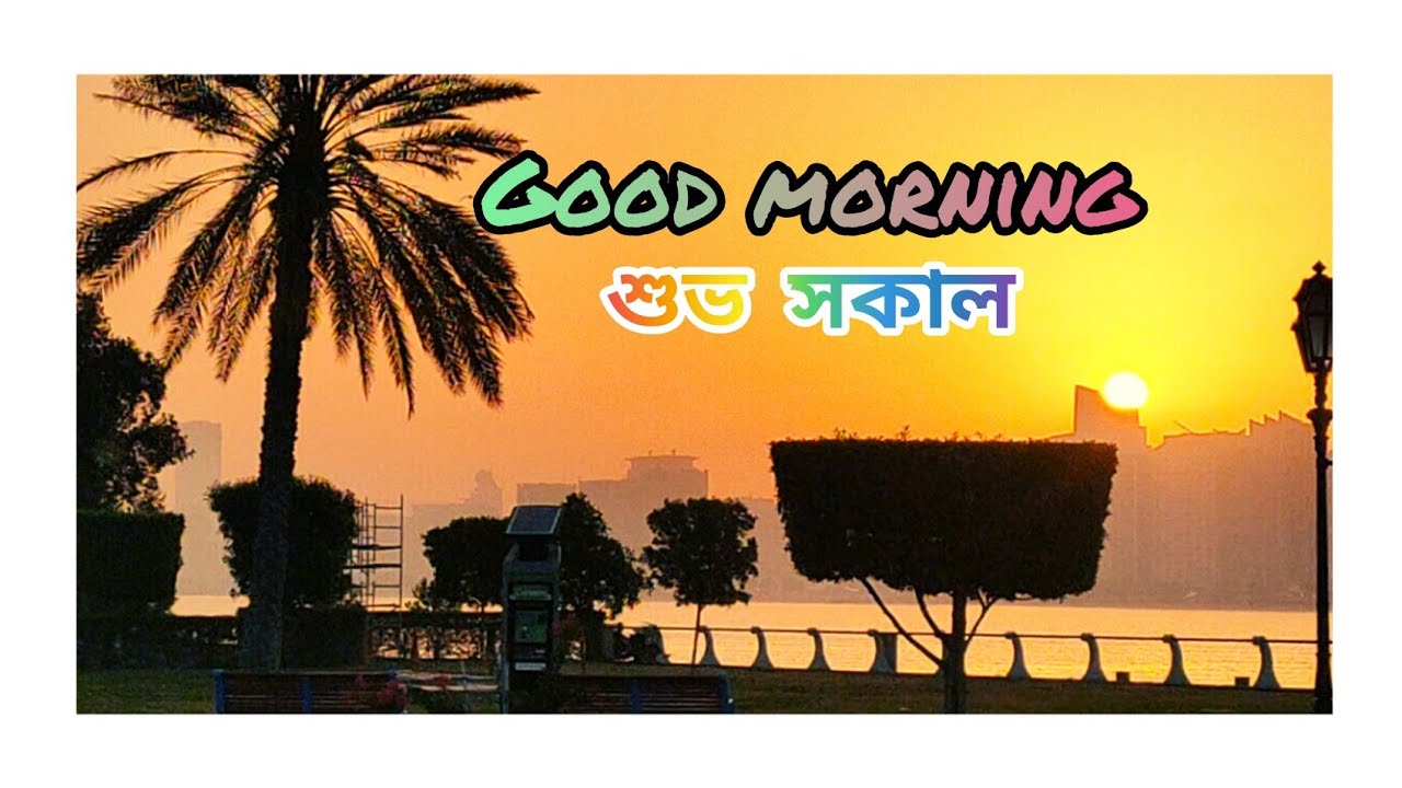 Good morning | শুভ সকাল |Saba-Hal-Khair | আমাদের প্রাতঃভ্রমণ- আবুধাবী ...