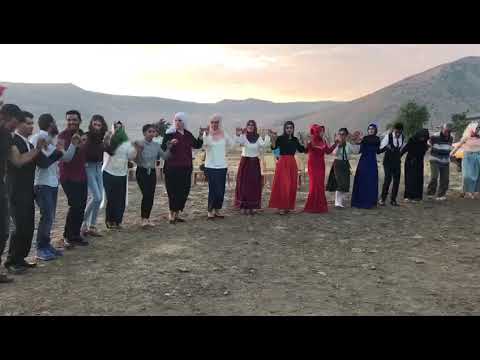 VARTO DÜĞÜN ŞIVAN SERDAR