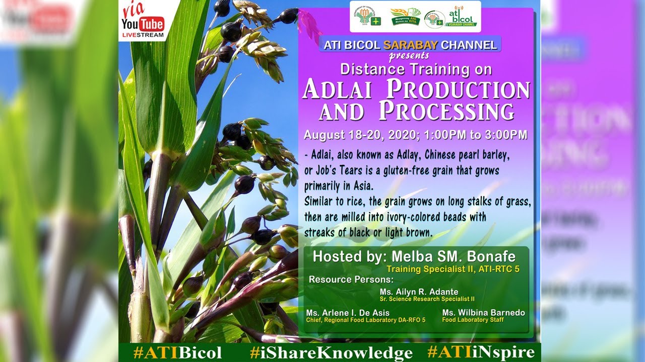 Day 1 | Distance Training on Adlai Production and Processing | August ...