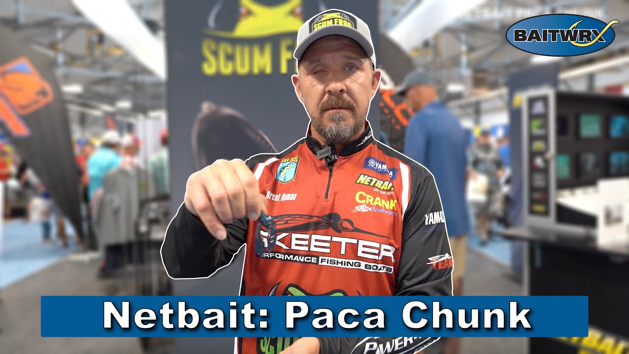 Netbait: Paca Chunk - YouTube