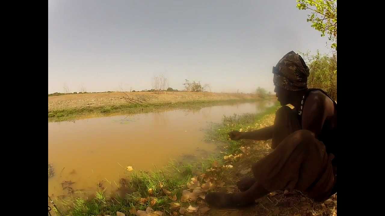 Fishing in the African swamps for catfish - YouTube