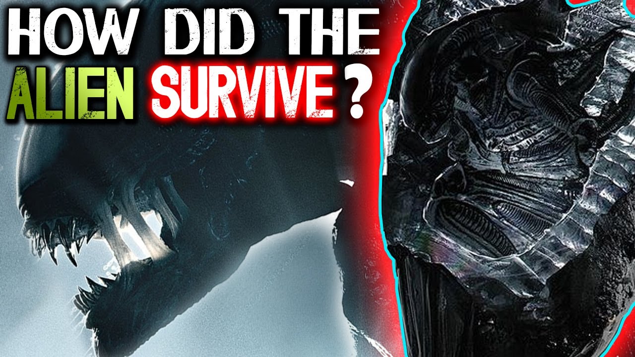How the Xenomorph Survived in Space? Special Cocoon Formation Explained ...