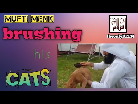 Mufti Menk taking care of his cats| - YouTube