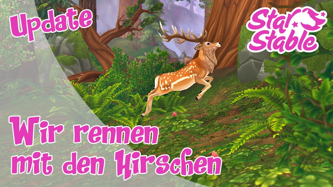 Star Stable [SSO] Ein neues Rennen in Wildwoods - YouTube