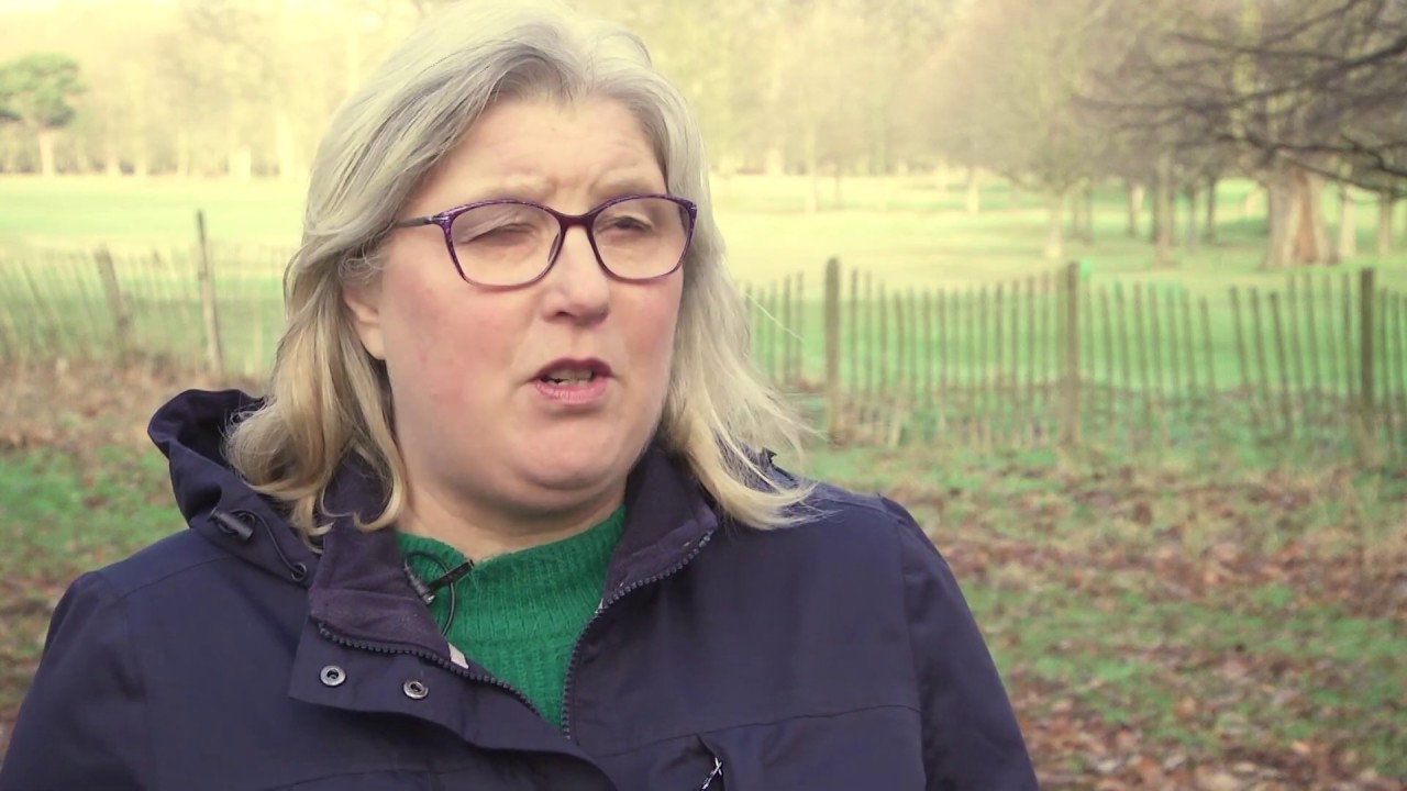 Katie Fenton - Blind couple refused service by taxi - YouTube