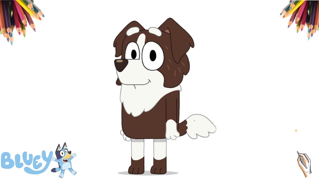 Como Desenhar o Border Collie Marrom – Personagem de Fundo de Bluey ...