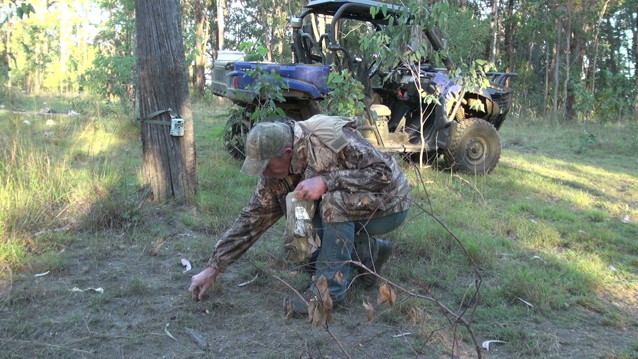 Catching the Saddleback Dog, Part 2 - YouTube
