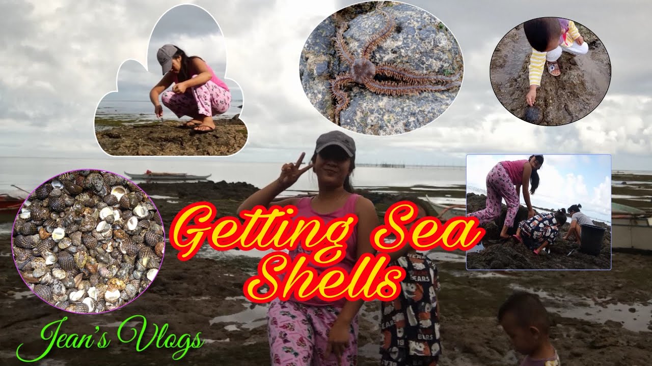 Pangunguha Ng Sea Shells/kinhason|May Ng yari sa pamangkin Kong lalaki ...
