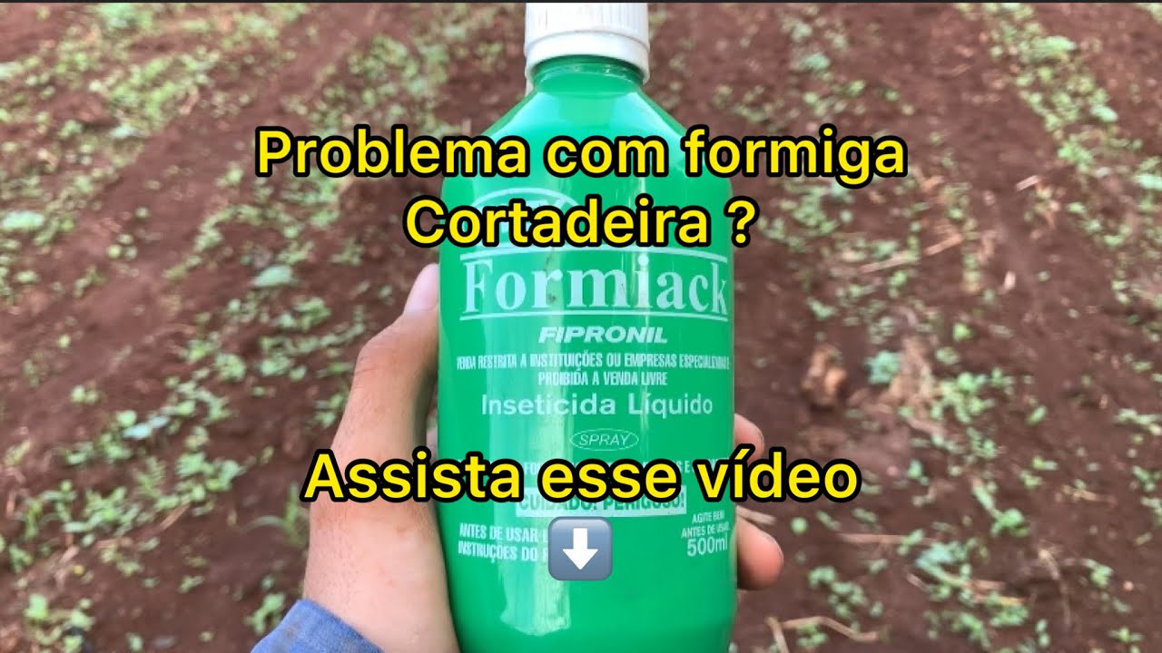 Melhor Produto Para formiga Cortadeira (saúva) #agro - YouTube