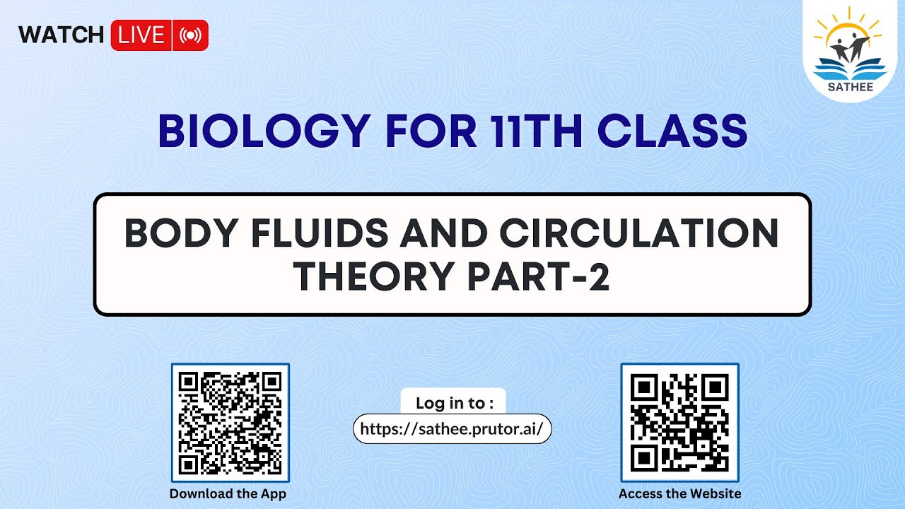 Biology Class 11th | Body fluids and circulation Theory Part-2 - YouTube