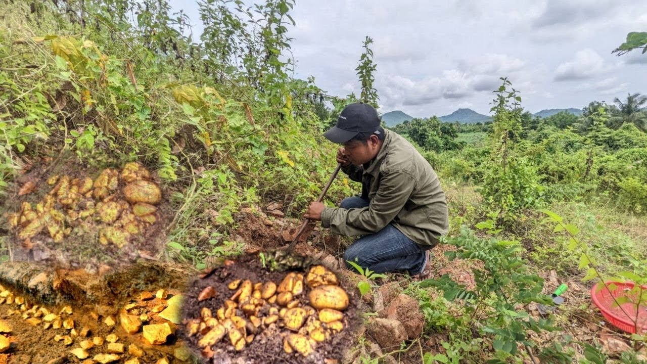 Top 2 video Digging for gold at the foot of a mountain@goldenzone7088 ...