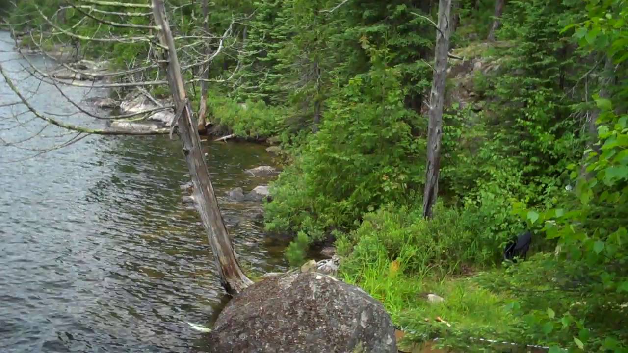 gun lake campsite - YouTube