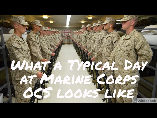 Marine Corps Ocs Training Plan - Infoupdate.org