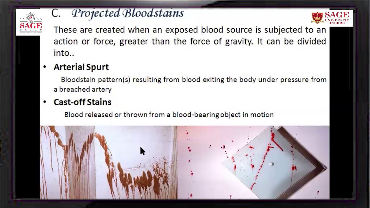 Forensic Science 02 | Bloodstain pattern analysis and it's importance ...