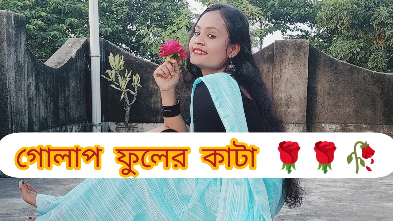 গোলাপ ফুলের কাটা 🌹🌹🥀||Golap fuler kata||Dance cover|Trending song 2024 ...
