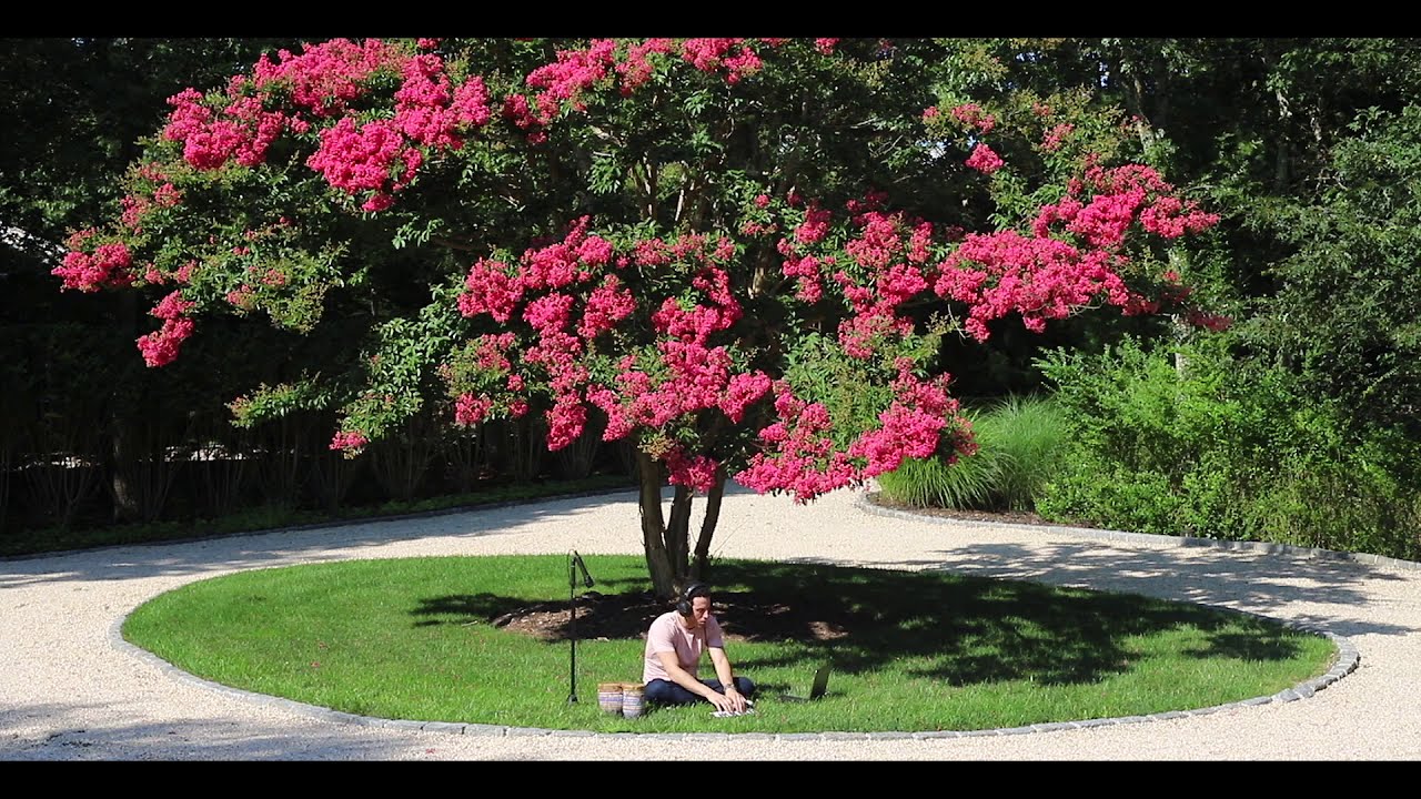 ONE (Nature Loop Session) - YouTube