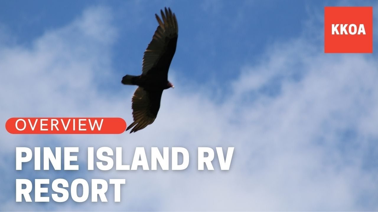 Pine Island RV Resort in Jay Oklahoma Overview - YouTube