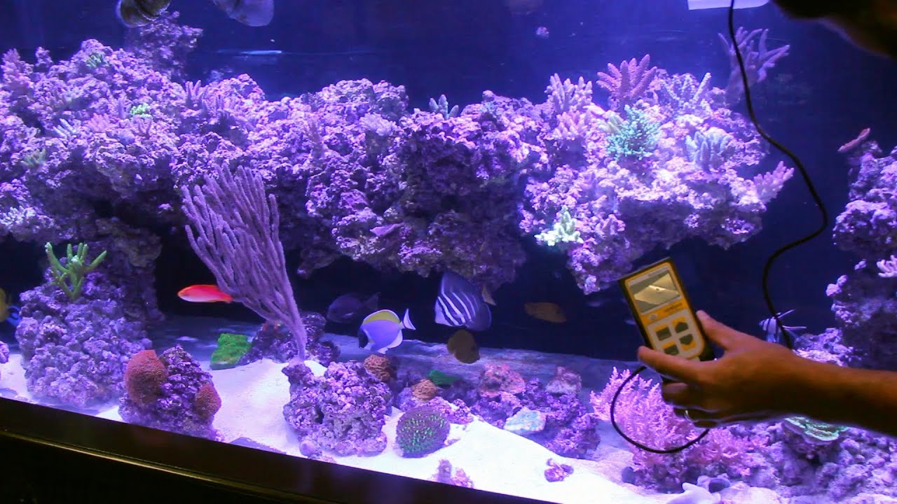 800 Aquarium pt6: PAR Readings using Apogee MQ-500 - YouTube