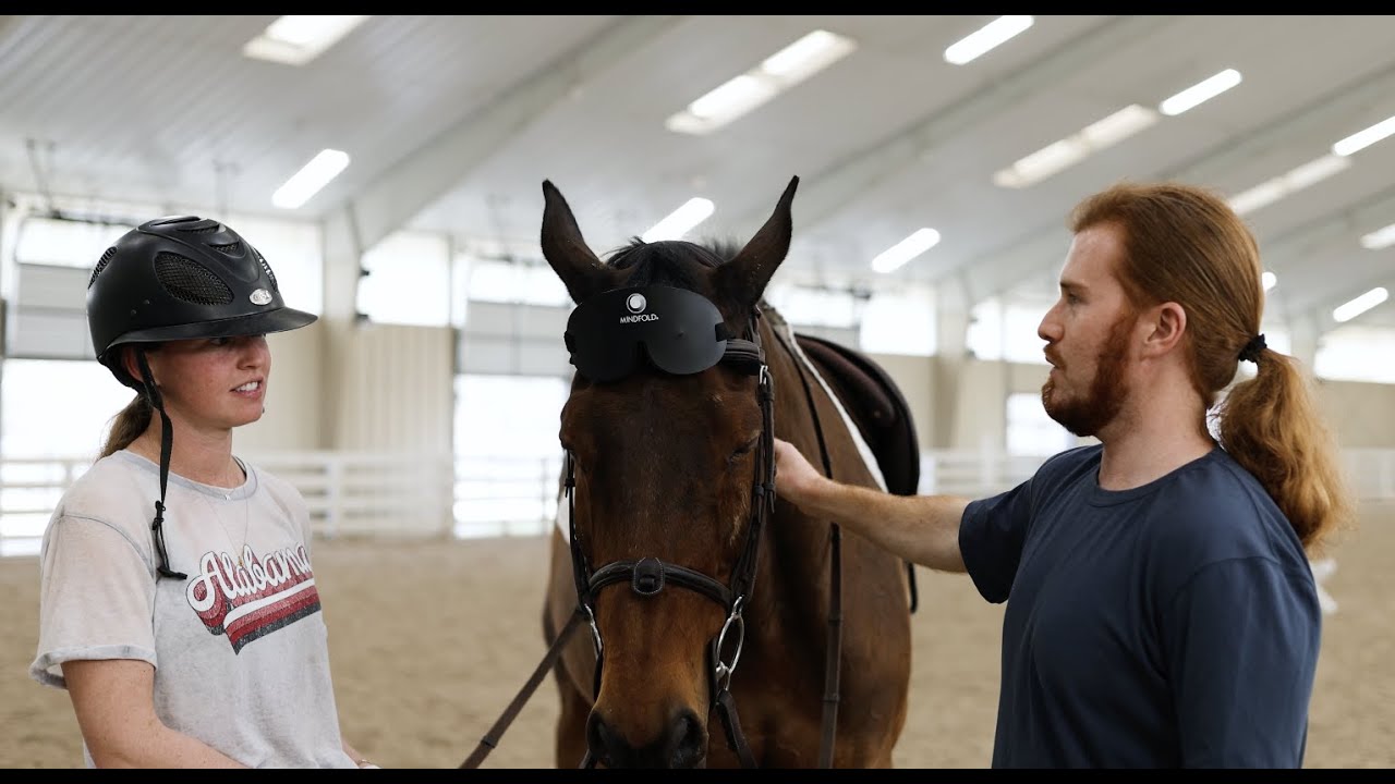 Foreseeable Future Foundation at Camwood Farm - YouTube