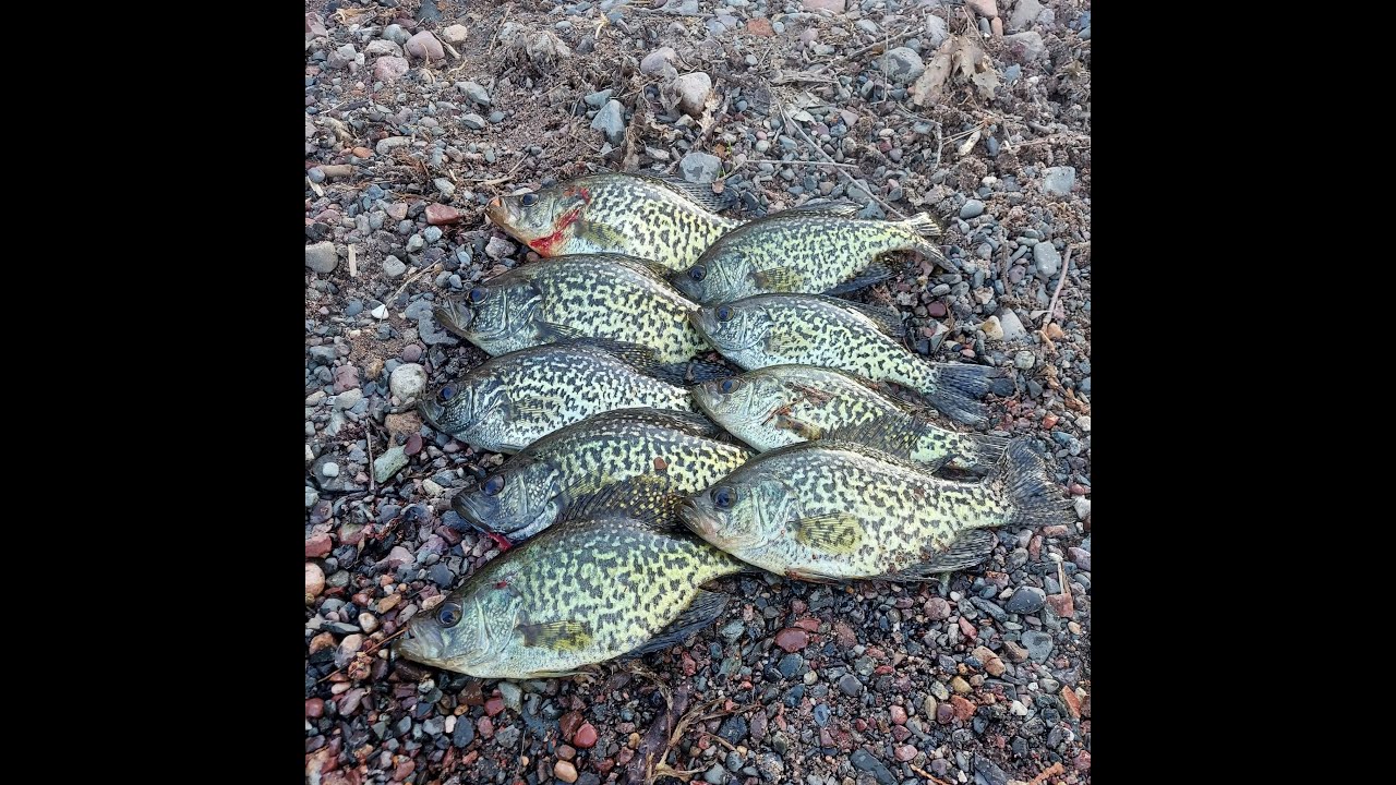 Early Spring MN Crappie fishing - YouTube