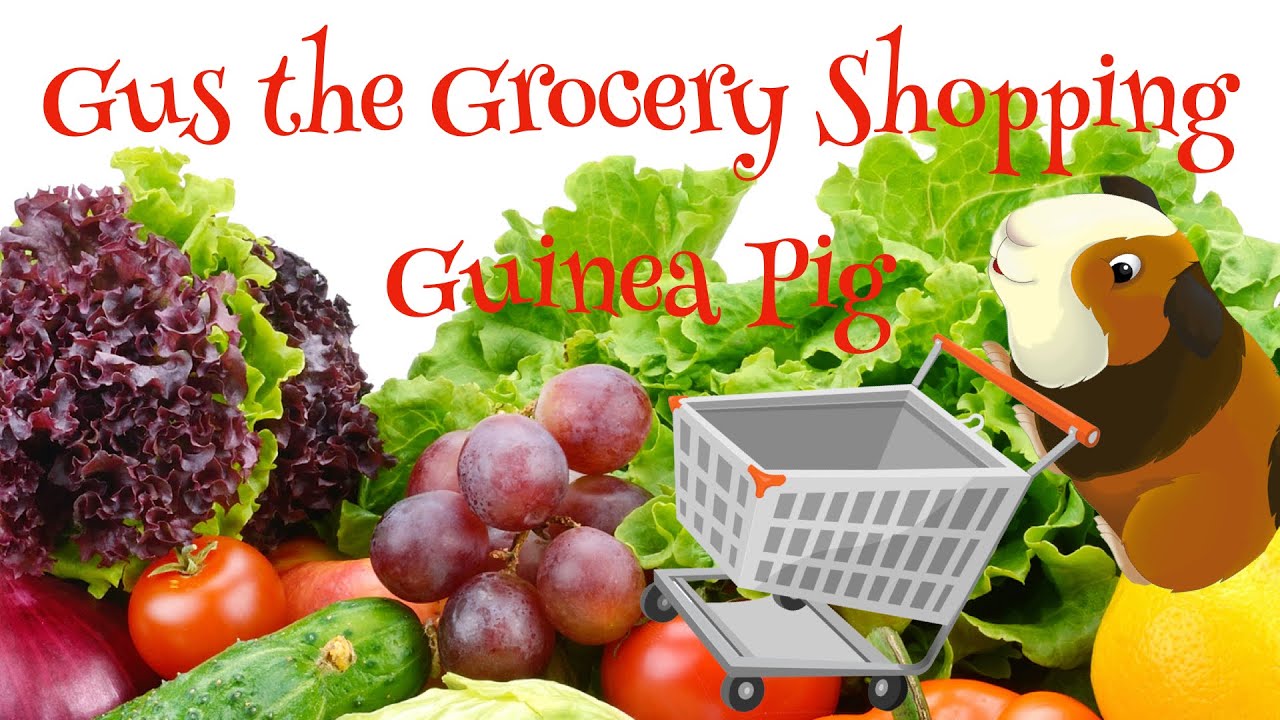 Guinea Pig at the Grocery Store| Rhyming Read Aloud | Kay Hastings ...