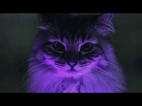 СЕКРЕТКИ В ТОКЕ БОКЕ!!! - YouTube