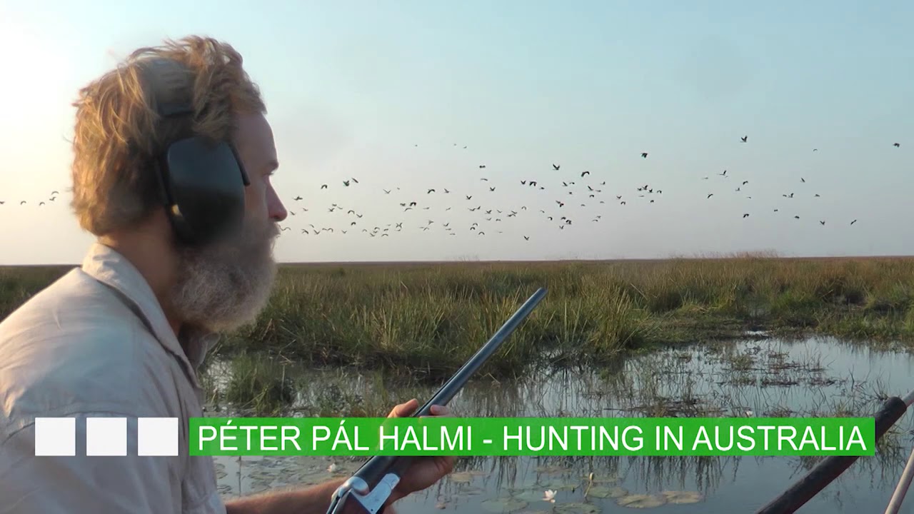 Halmi Péter Pál – Vadászat Ausztráliában - YouTube
