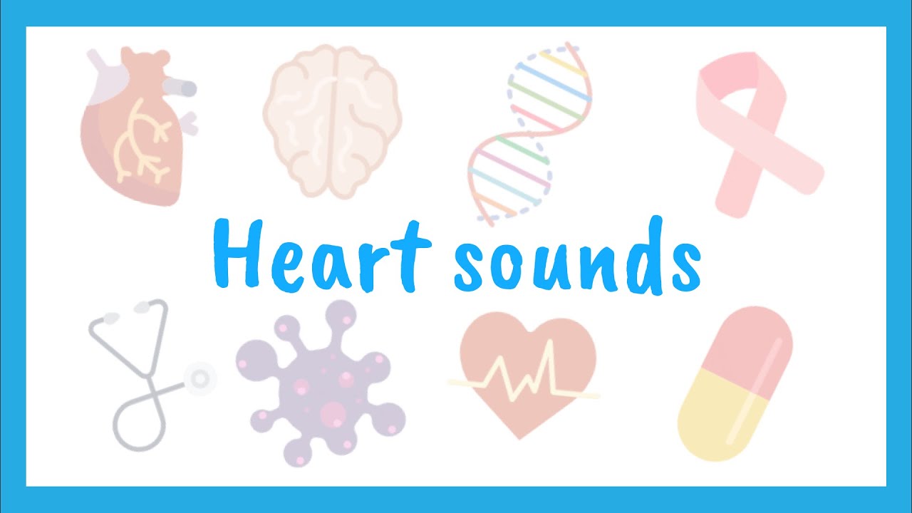 Cardiac cycle & Normal heart sounds - YouTube