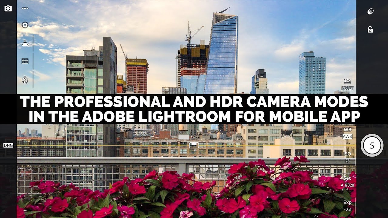 How To Use The Pro And HDR Camera Modes In Adobe Lightroom for Mobile ...