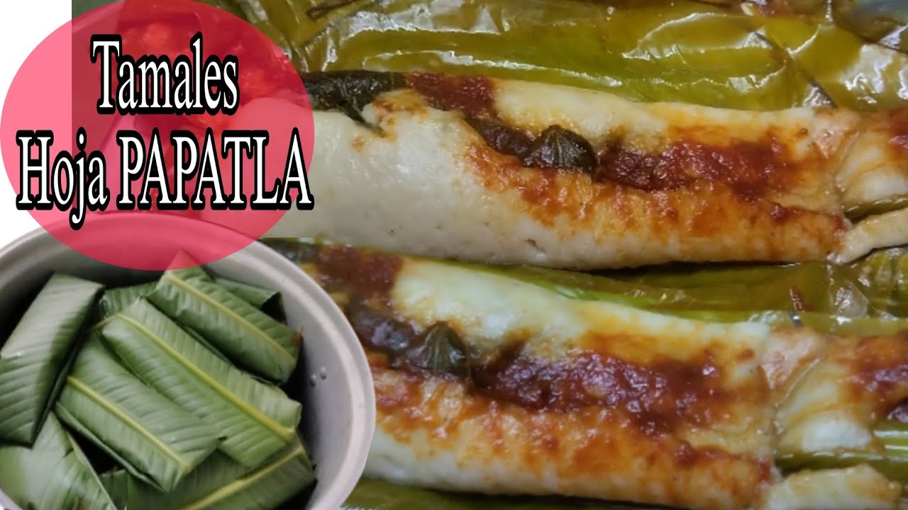 #TAMALES Rancheros HOJA PAPATLA CON MASA COCIDA estilo #Veracruz - YouTube