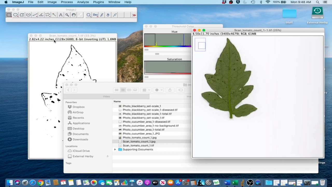ImageJ Tutorial 1.6 - Count Leaf Lesions (Scanned Image) - YouTube